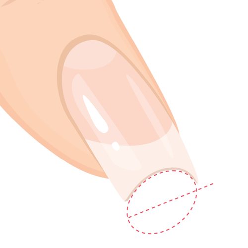 C-CURVE - GlossaryLive